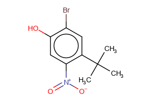 1246213-42-2 | 2-bromo-4-tert-butyl-5-nitrophenol | C10H12BrNO3
